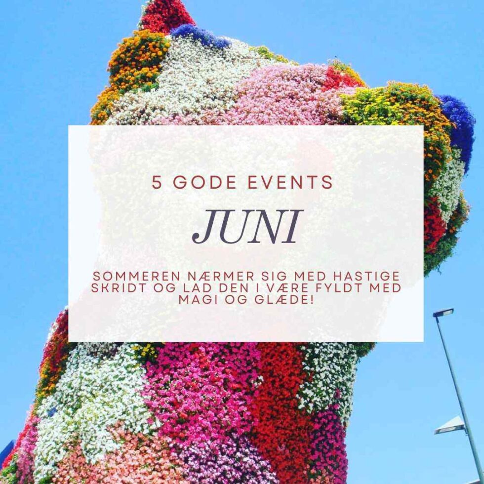5 ting der sker i Kolding – Juni 2024 - Birgit Petersen